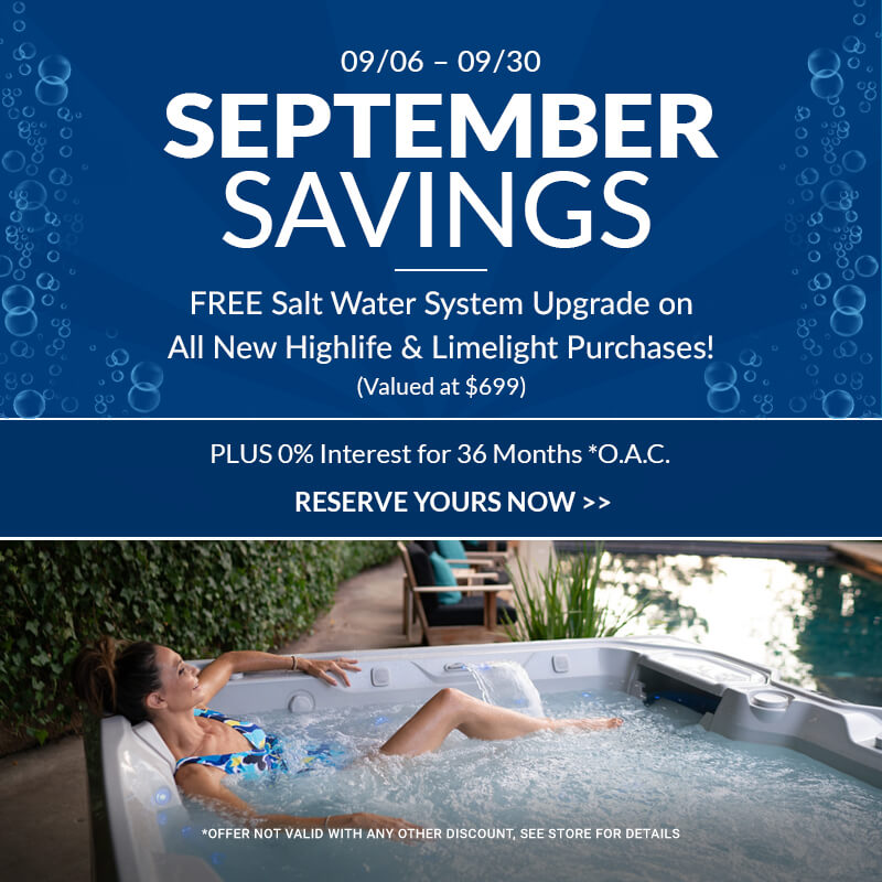 Hot Spring® Ozone Kit - California Home Spas & Patio